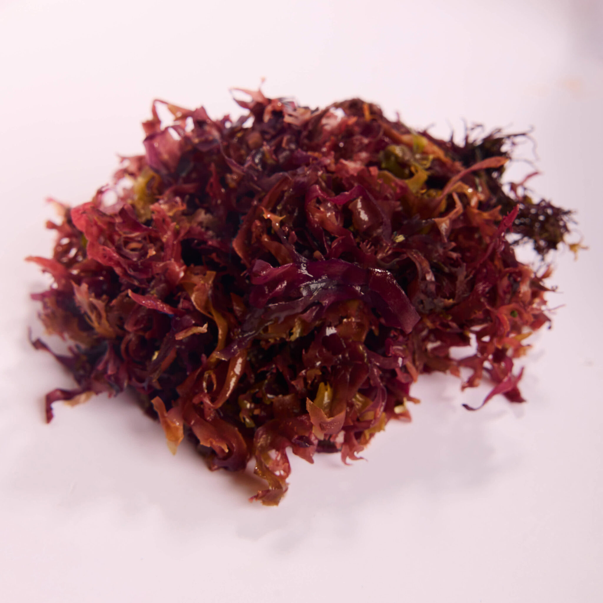 The REAL Purple Chondrus Crispus (Pre-soaked/Cleaned) - DaddyButter The ...